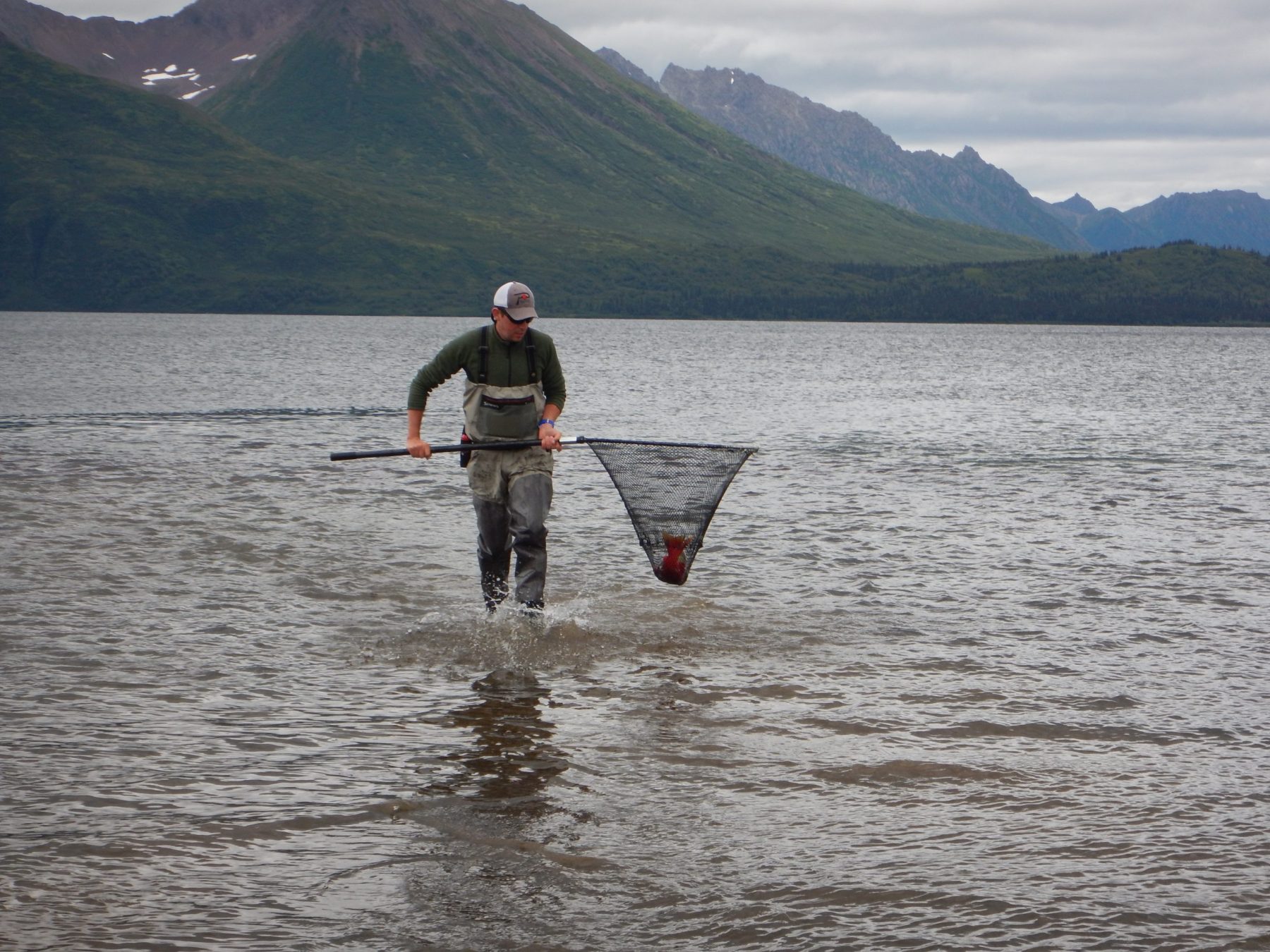 About | School of Aquatic and Fishery Sciences
