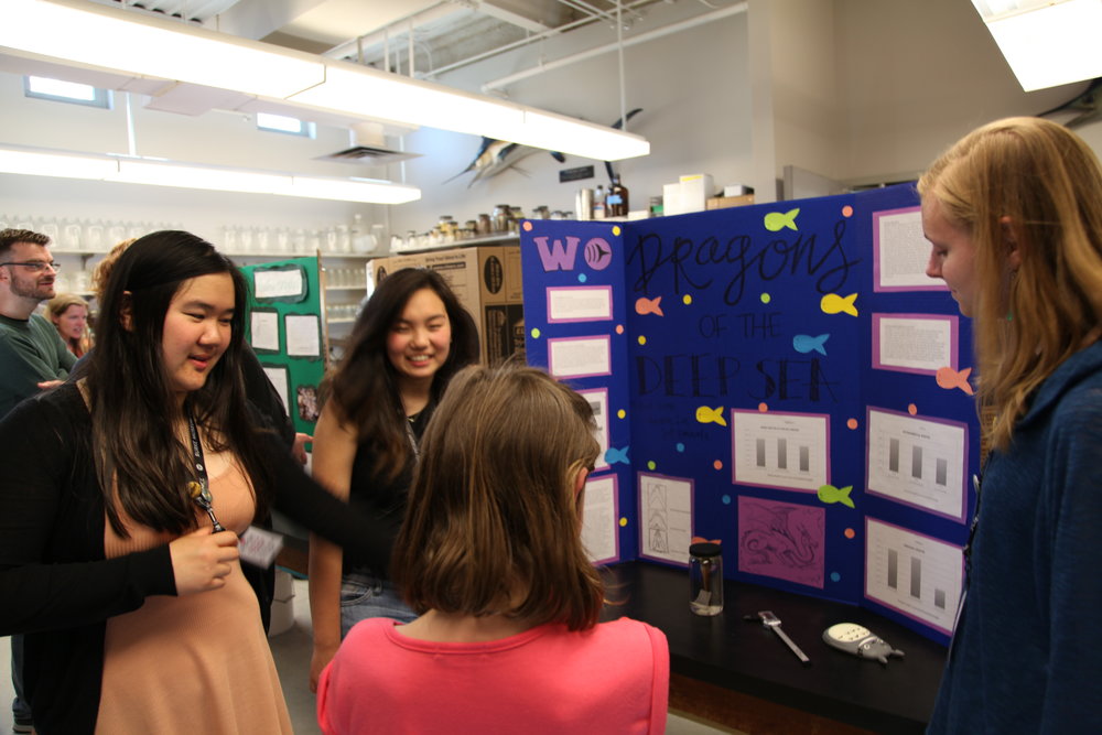 Girls in Science program hosted by the UW Fish Collection
