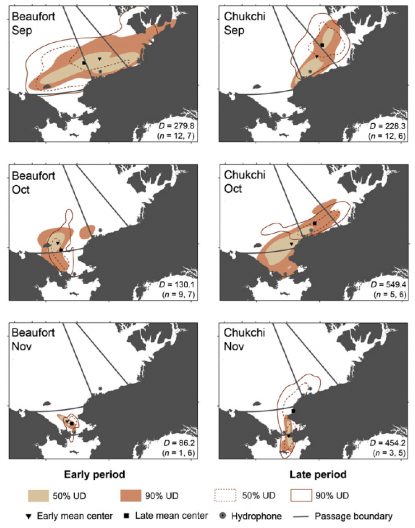 Some beluga whales are leaving the Arctic later because of changes in ...
