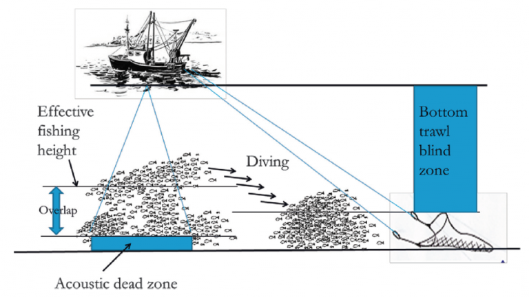 Combining trawl and acoustic surveys to assess the status of the ...