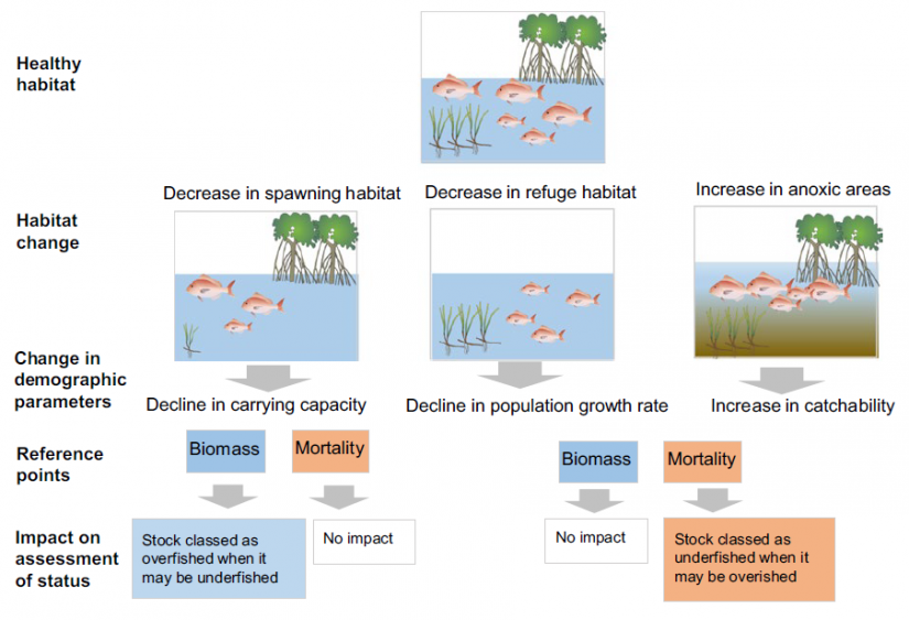 Habitat preservation is a critical part of good ocean fisheries management