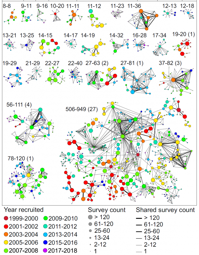 Helping bird science while walking along the beach: lessons from 17 ...