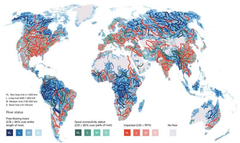 Few of the world’s longest rivers still flow uninterrupted into the ocean