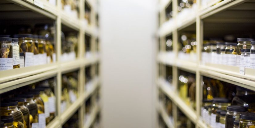 Facilities & Resources | School of Aquatic and Fishery Sciences