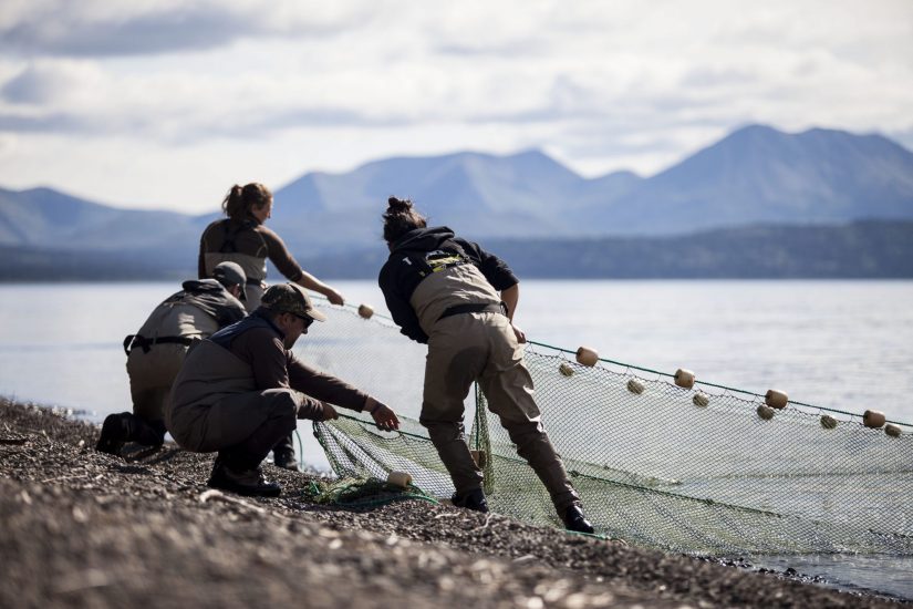 About | School of Aquatic and Fishery Sciences