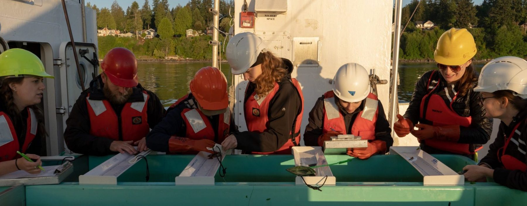 Aquatic and Fishery Sciences (AFS) Bachelor of Science | School of ...