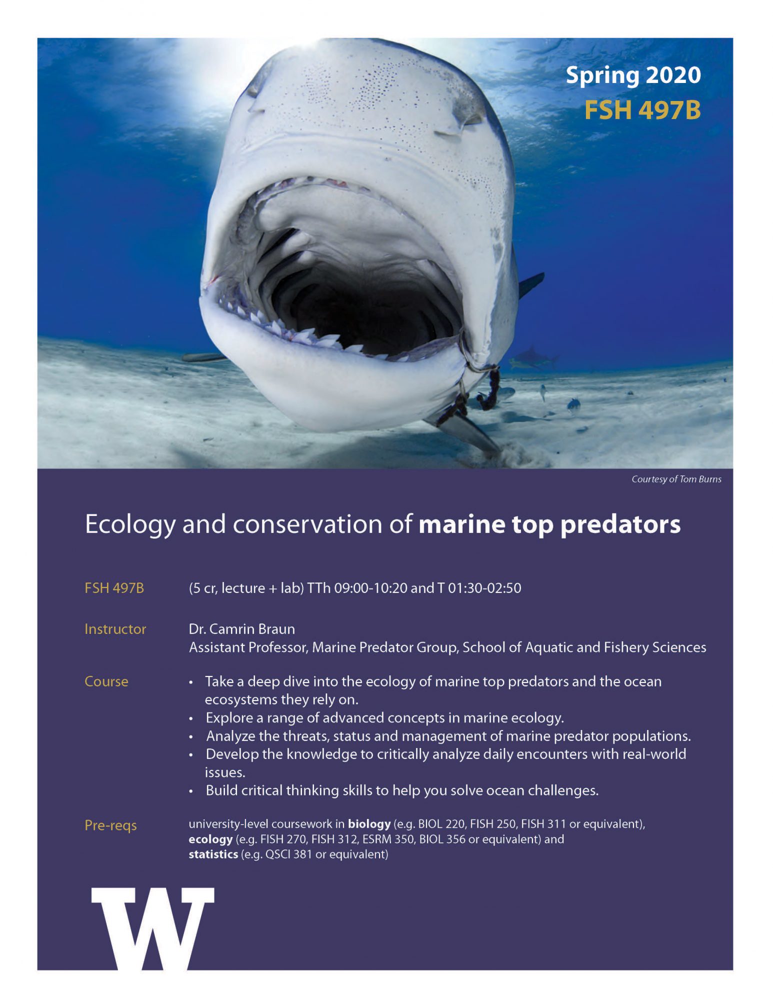 New Course – Ecology & Conservation of Marine Top Predators