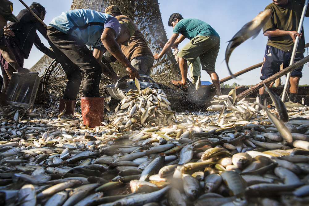 World Fisheries Day 2022