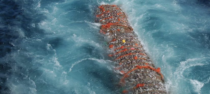 2024 Preview of the Eastern Bering Sea Pollock Stock Assessment