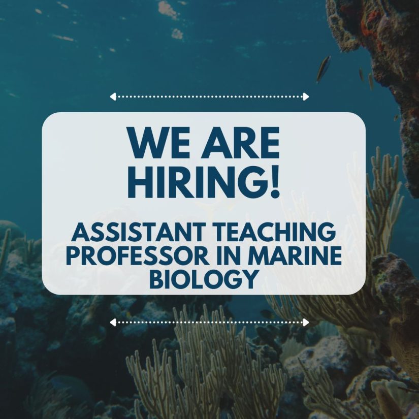 We are hiring! Assistant Teaching Professor in Marine Biology