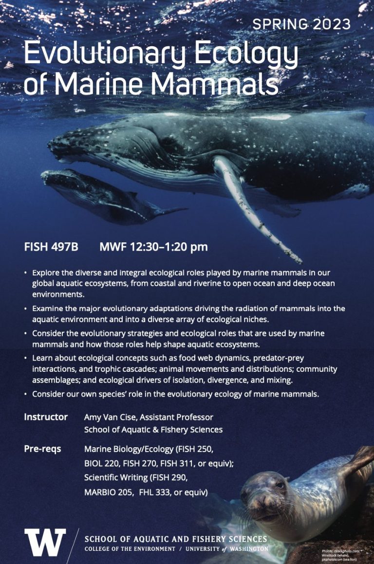 Explore the evolutionary ecology of marine mammals in new class