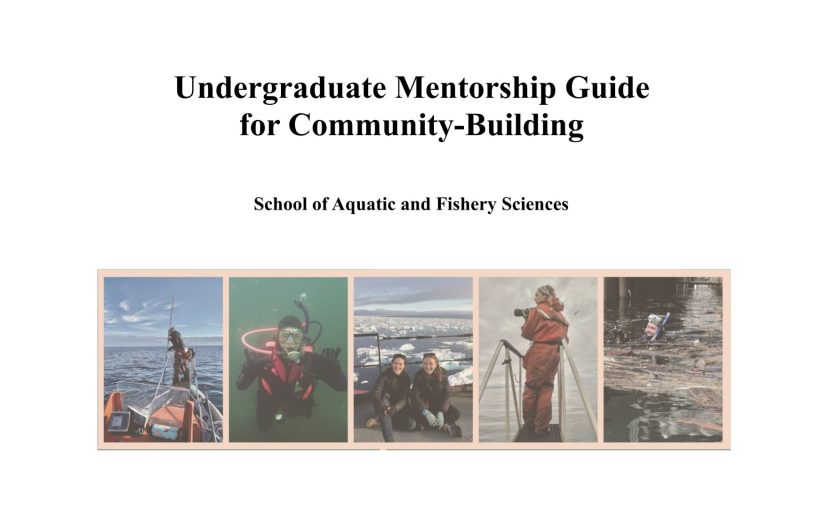 Undergraduate Mentorship Guide for Community-Building released