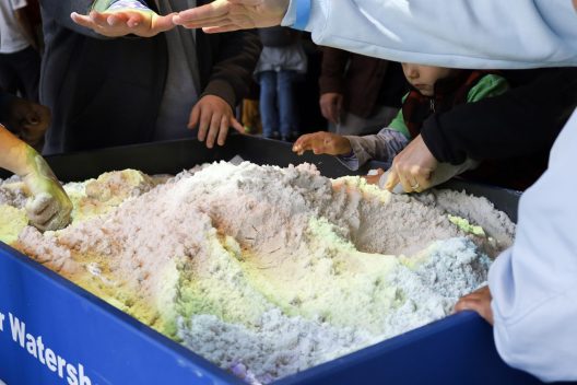 UW Aquatic Sciences Open House | School of Aquatic and Fishery Sciences