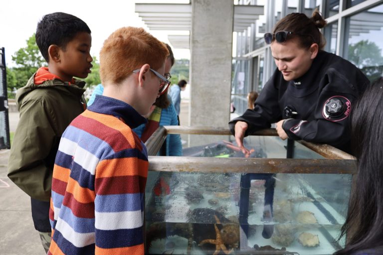 UW Aquatic Sciences Open House | School of Aquatic and Fishery Sciences
