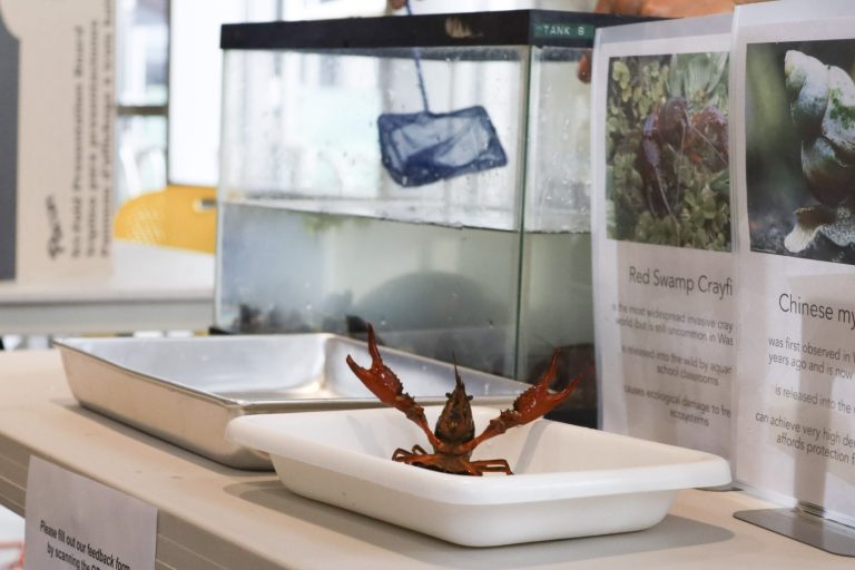 UW Aquatic Sciences Open House | School of Aquatic and Fishery Sciences