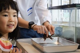 UW Aquatic Sciences Open House | School of Aquatic and Fishery Sciences