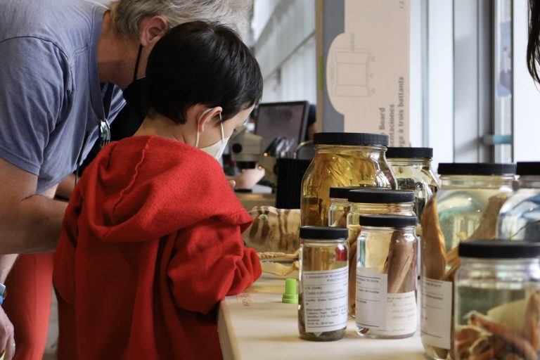 UW Aquatic Sciences Open House | School of Aquatic and Fishery Sciences