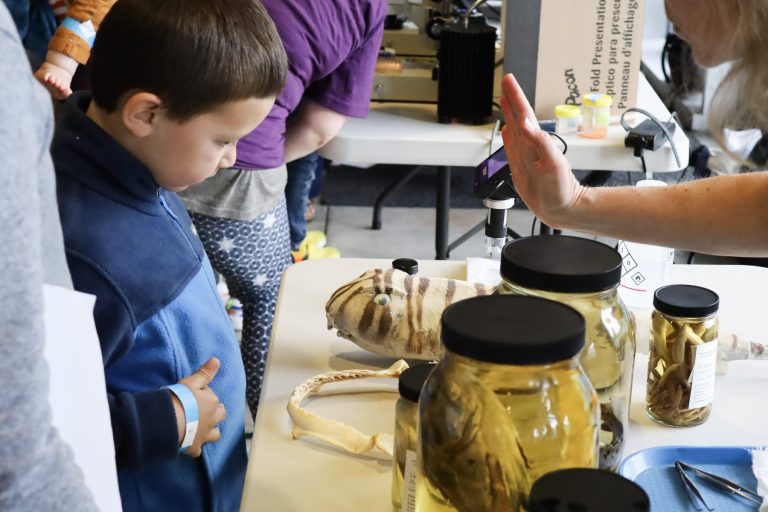 UW Aquatic Sciences Open House | School of Aquatic and Fishery Sciences