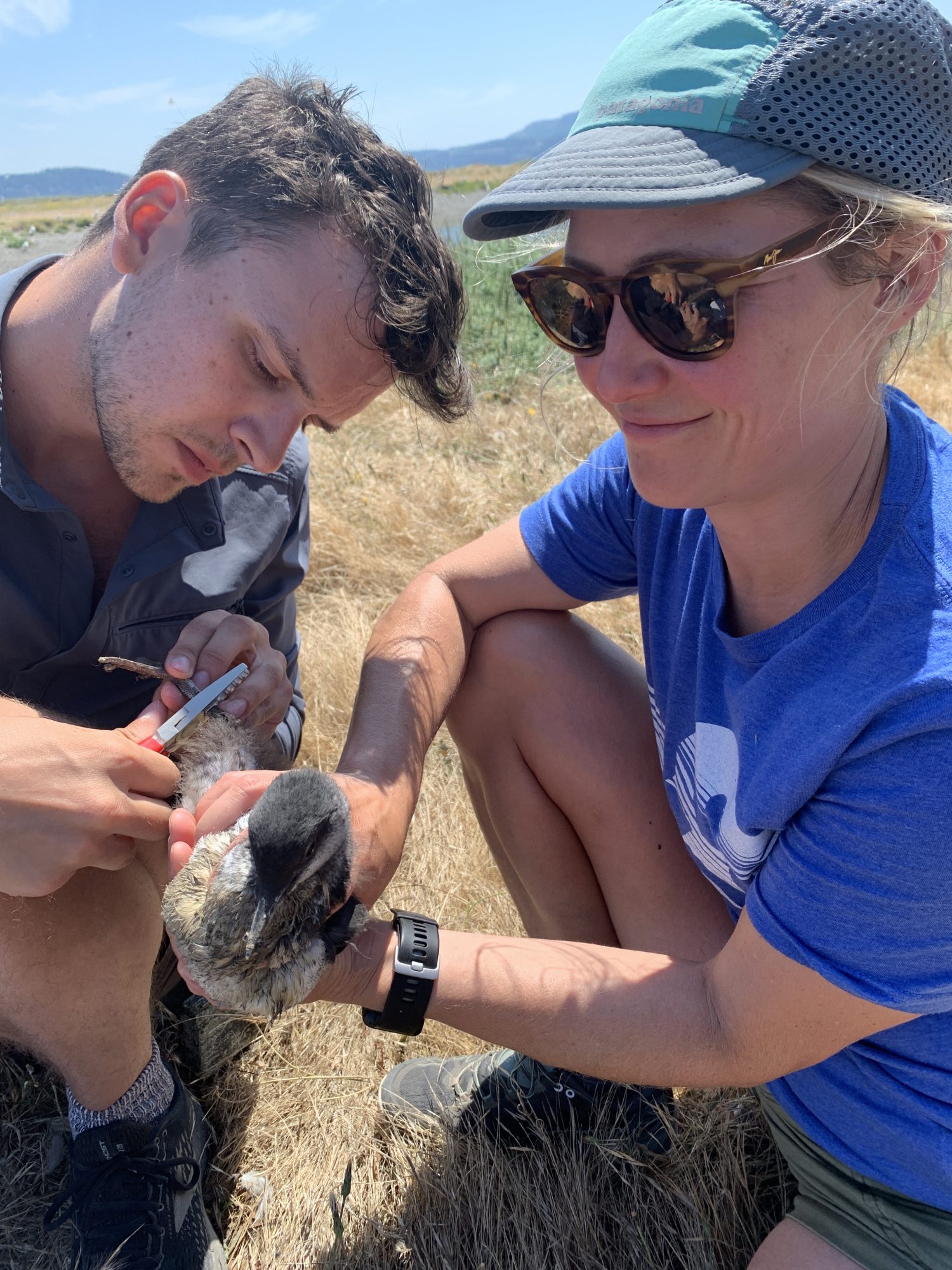 Transform into a seabird ecologist at the SEAS Open House