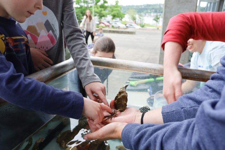 UW Aquatic Sciences Open House | School of Aquatic and Fishery Sciences
