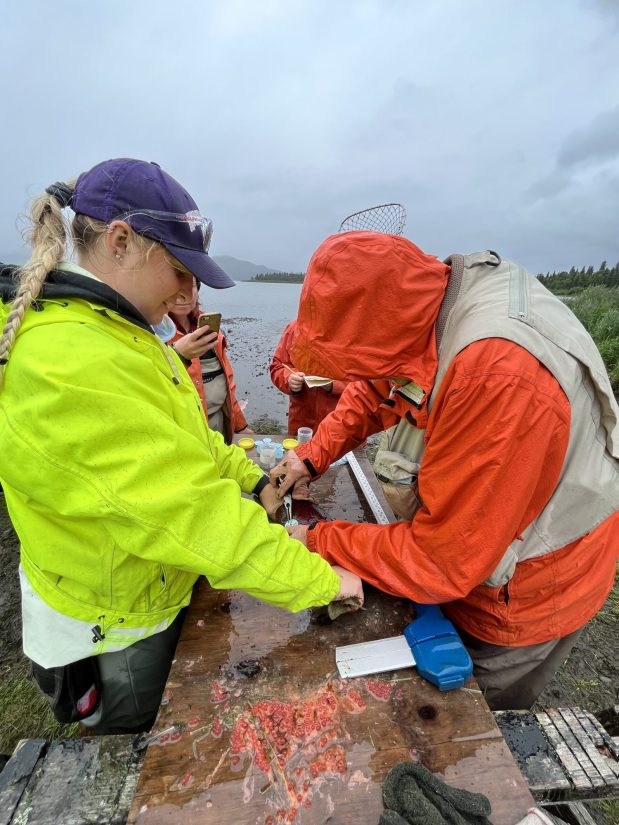 Spring Graduation | School of Aquatic and Fishery Sciences