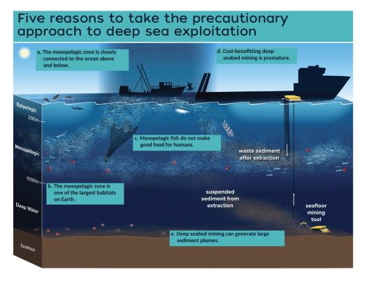A cautionary tale: deep sea exploitation and five reasons to be careful
