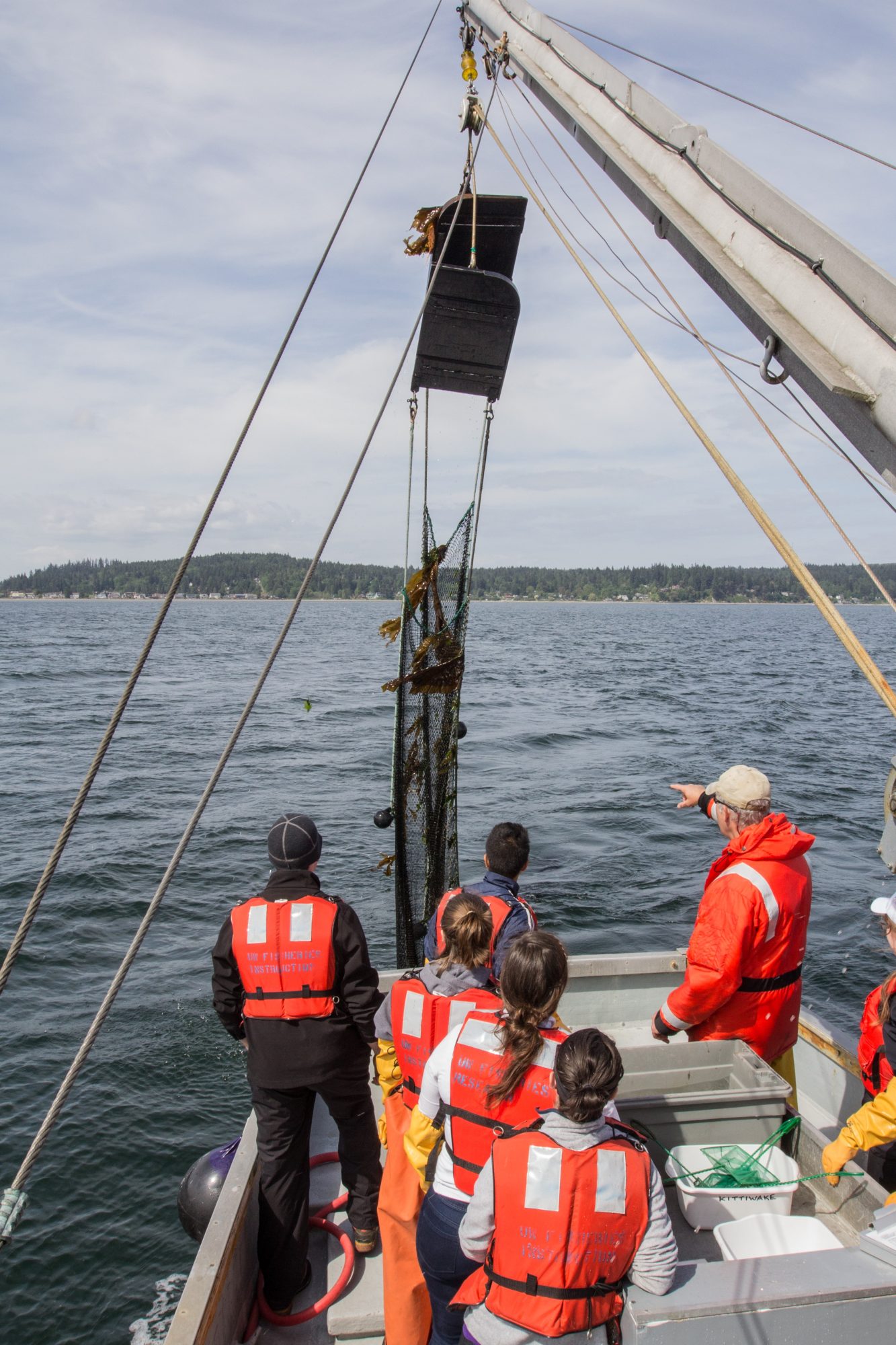 Two decades of change in sea star abundance in Puget Sound