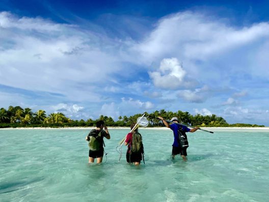 School of Aquatic and Fishery Sciences