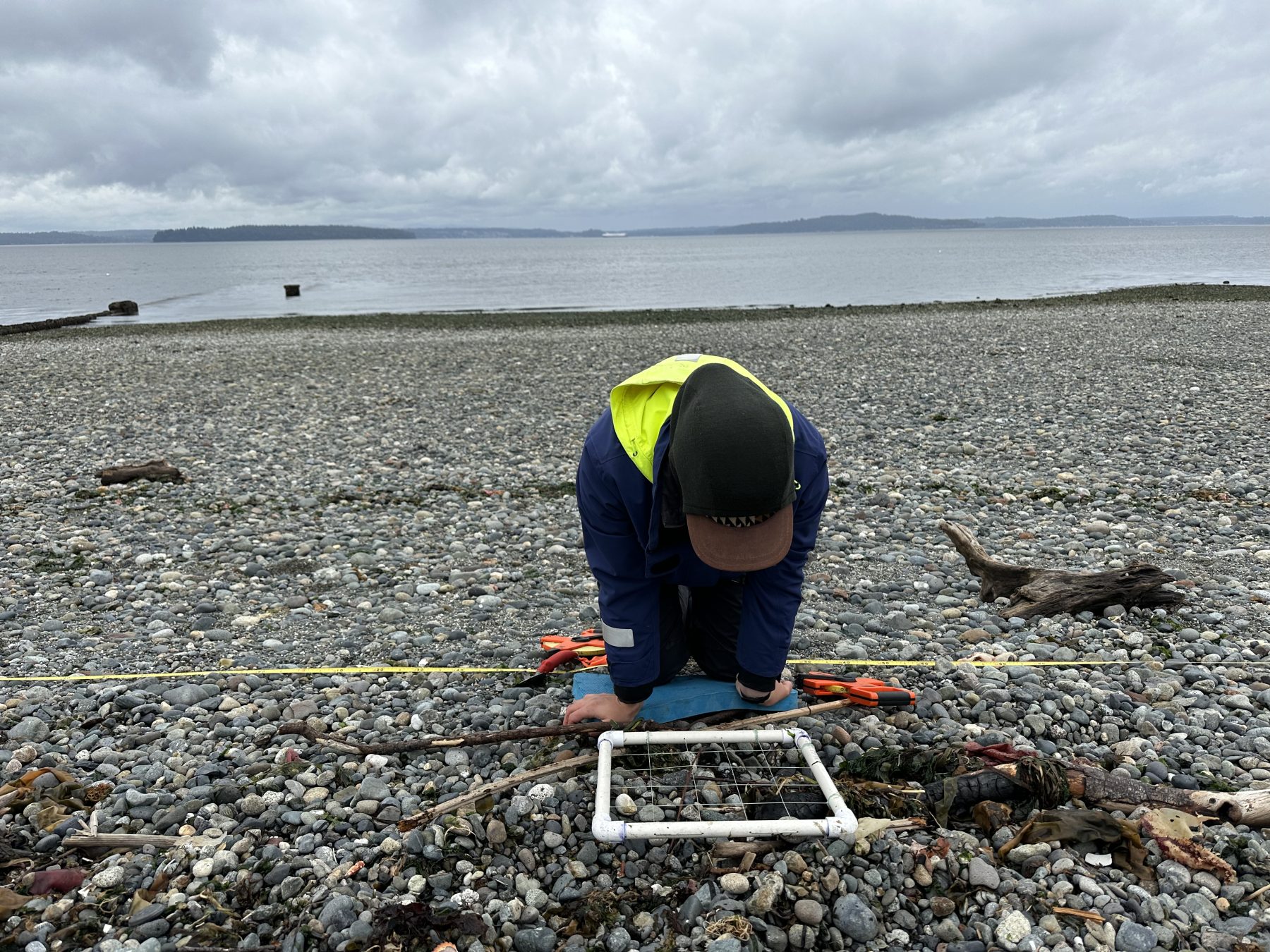 Shoreline restoration: community science to monitor effectiveness