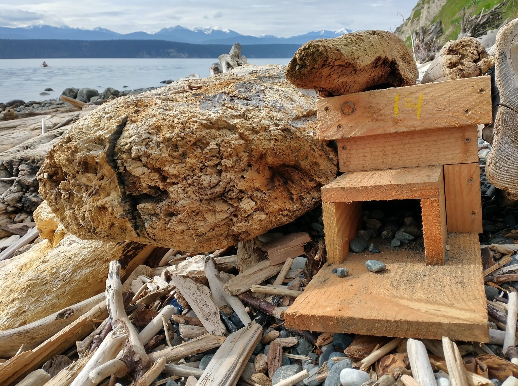 “Someday I’ll fly away”: monitoring hatchling to fledgling timescales ...