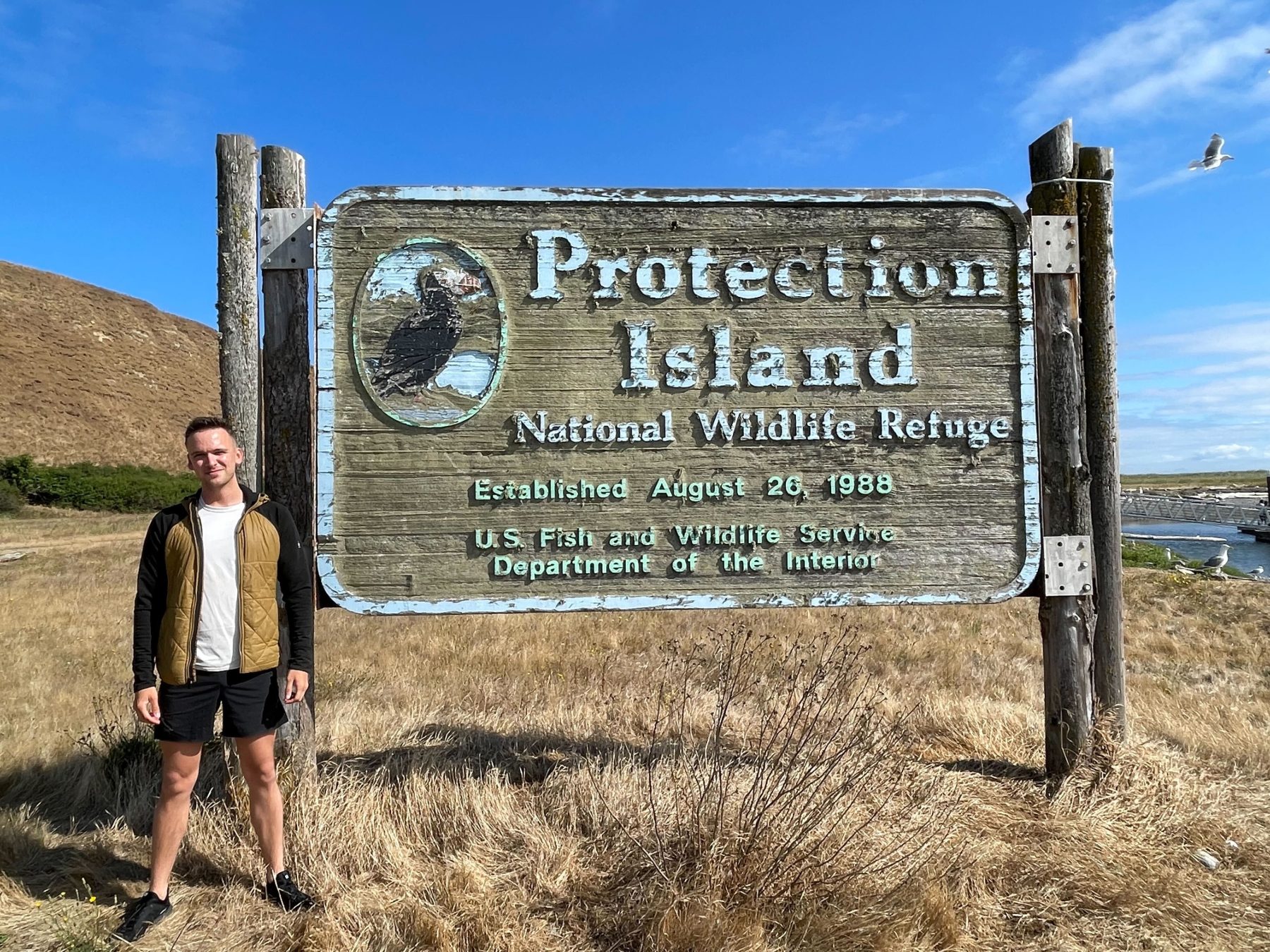 “Someday I’ll fly away”: monitoring hatchling to fledgling timescales on Protection Island