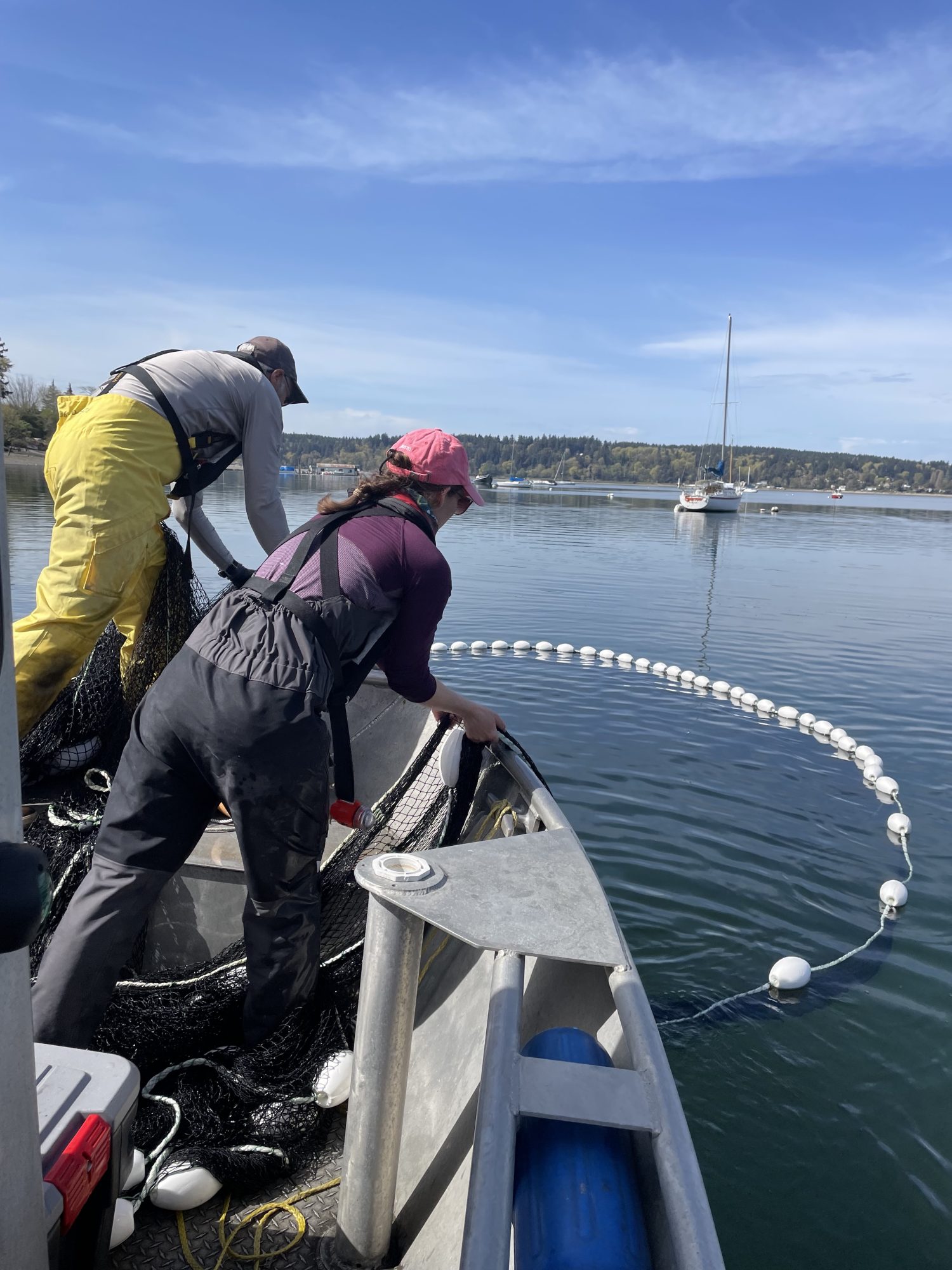 Near or far: how is fish abundance affected by shoreline armoring?