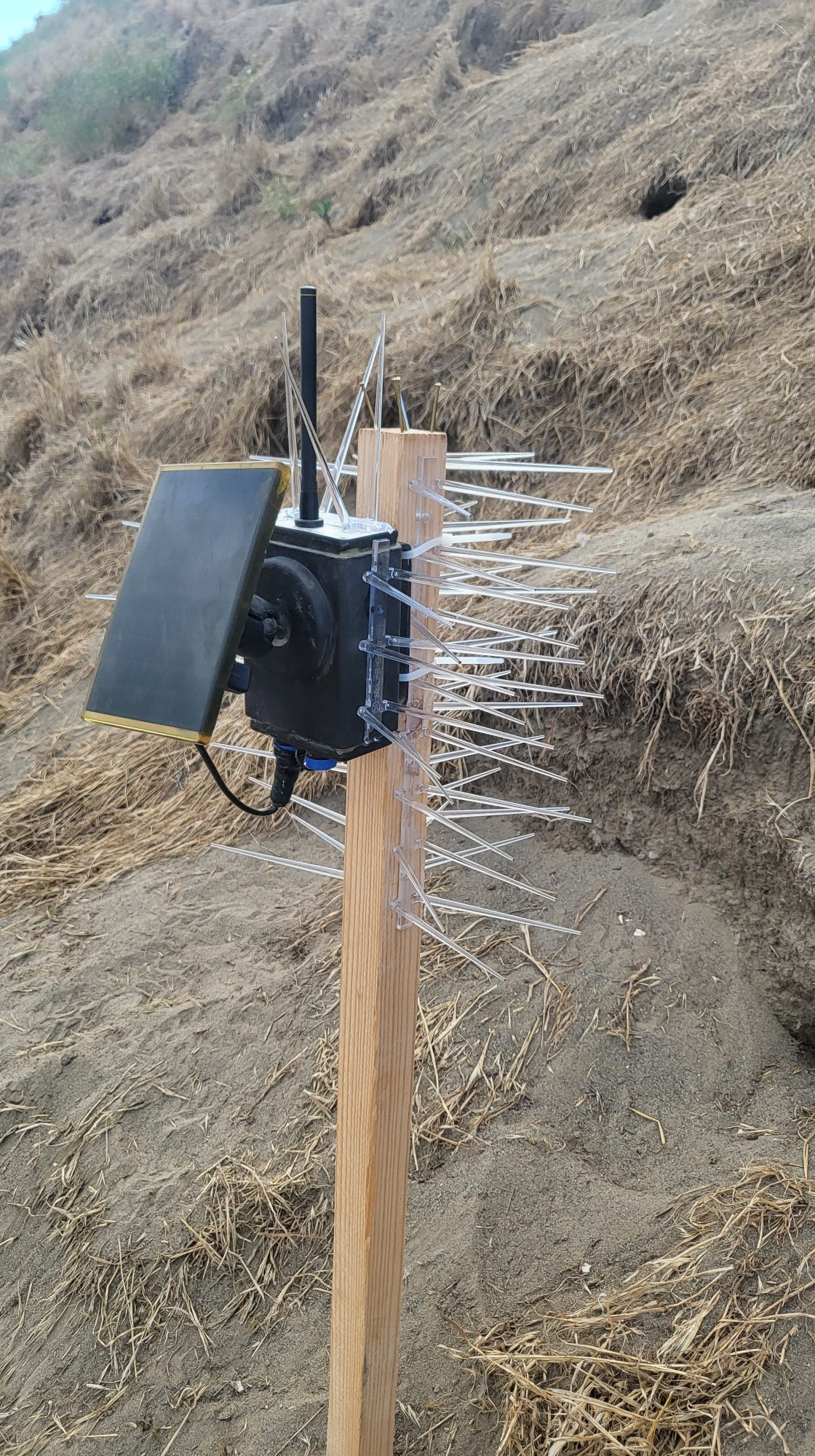 Bird backpacks: GPS tagging of rhinoceros auklets and pigeon guillemots ...