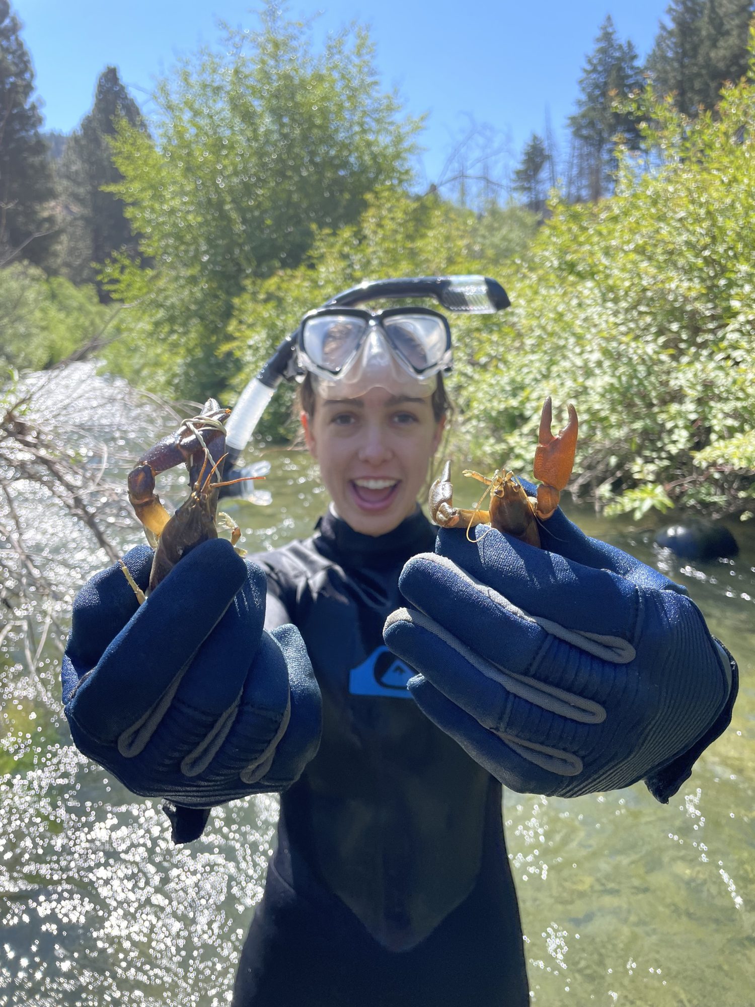 Summer field season with the Freshwater Ecology and Conservation Lab