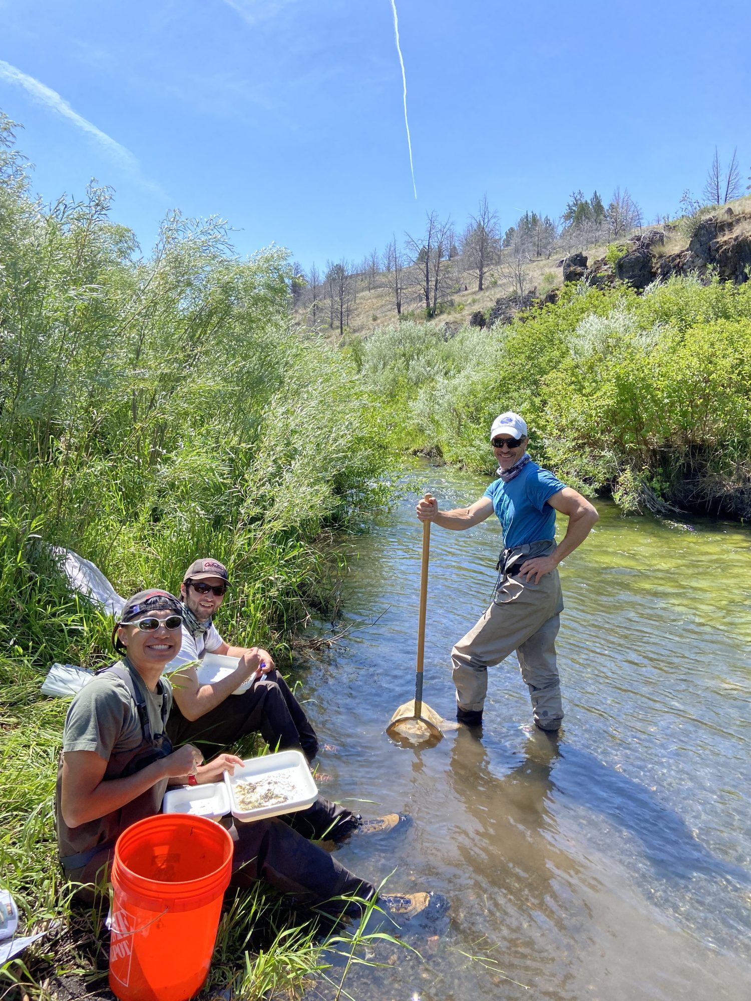Summer field season with the Freshwater Ecology and Conservation Lab