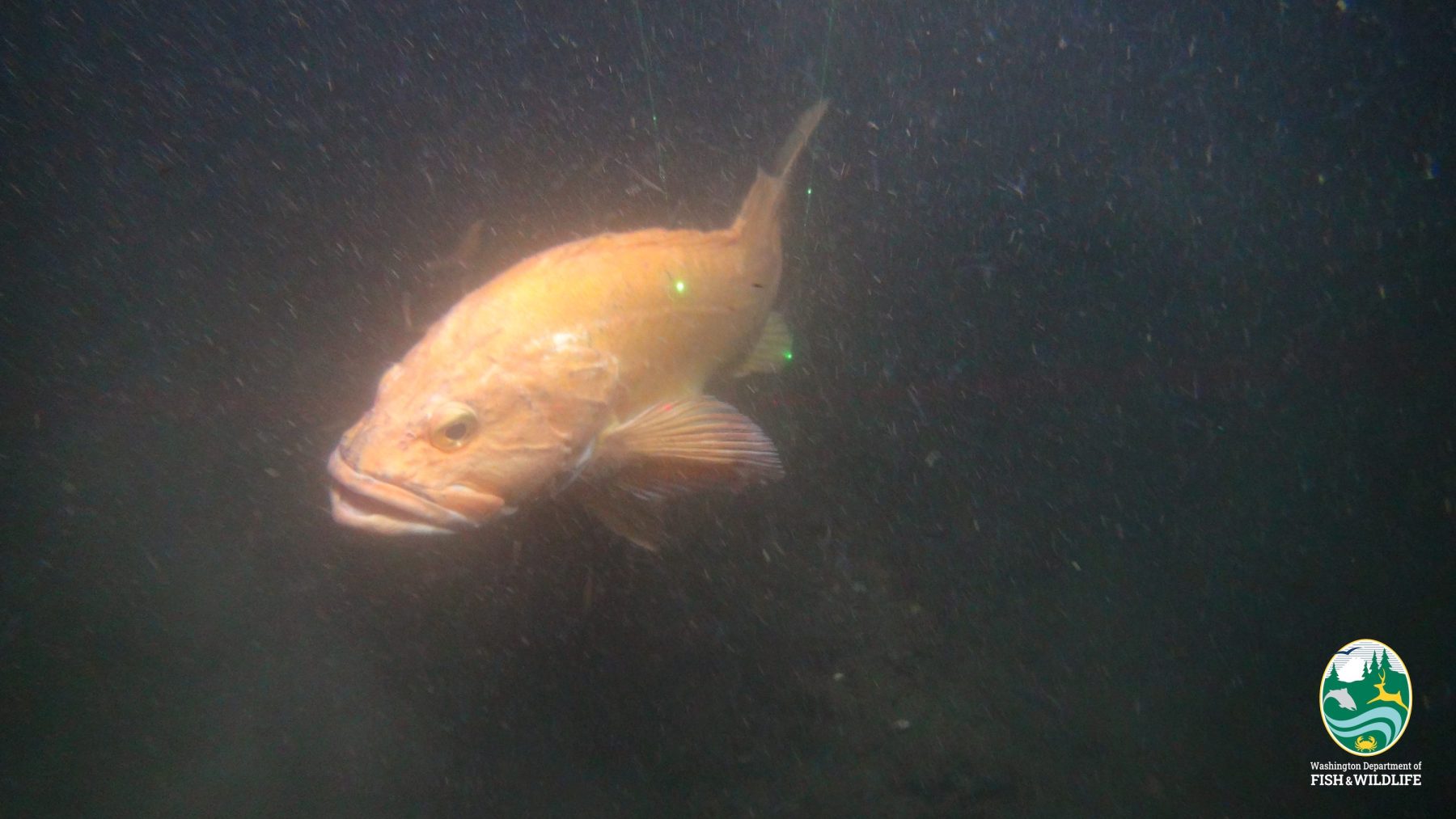 Looking to the past to inform the future