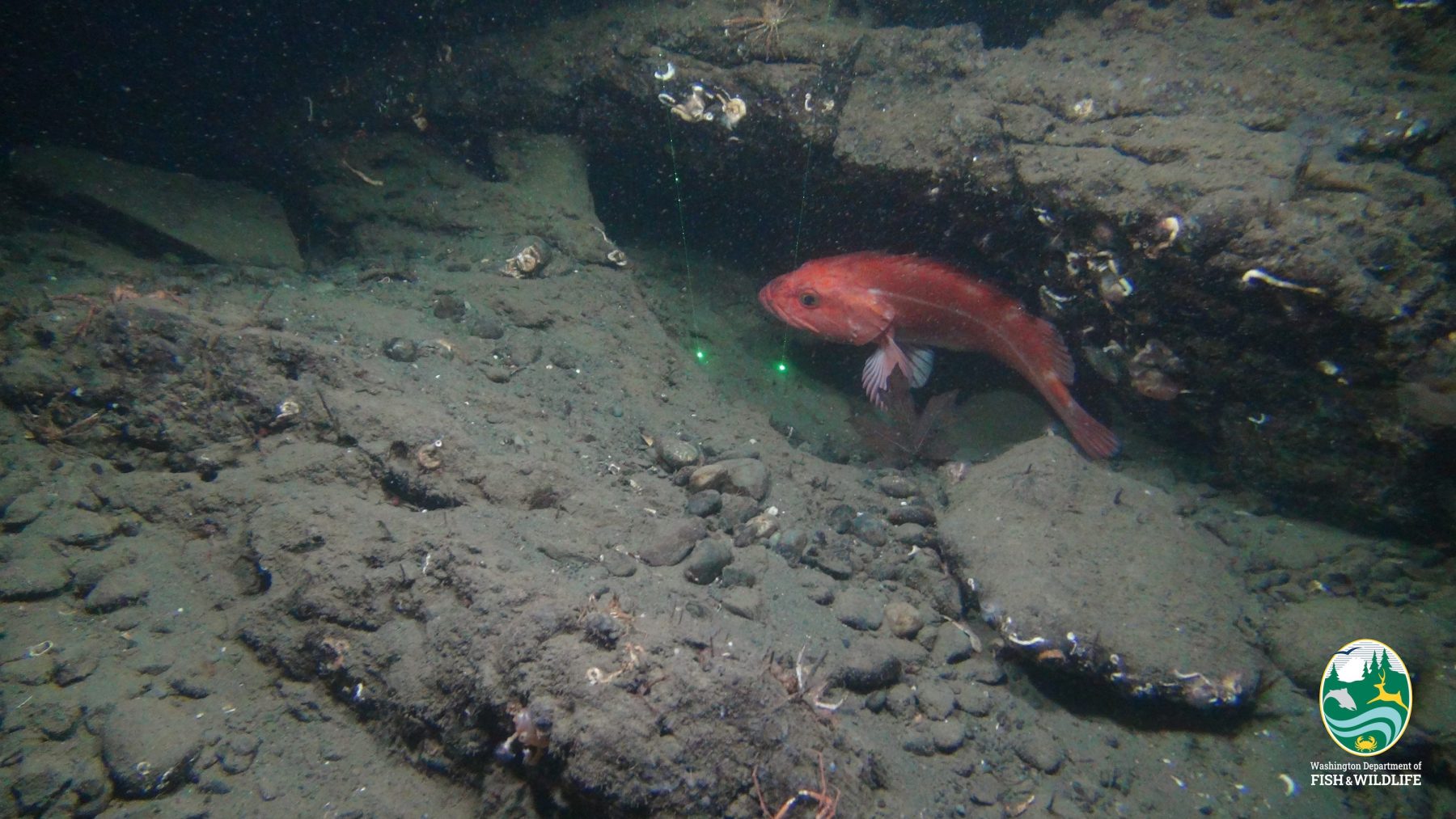 Looking to the past to inform the future