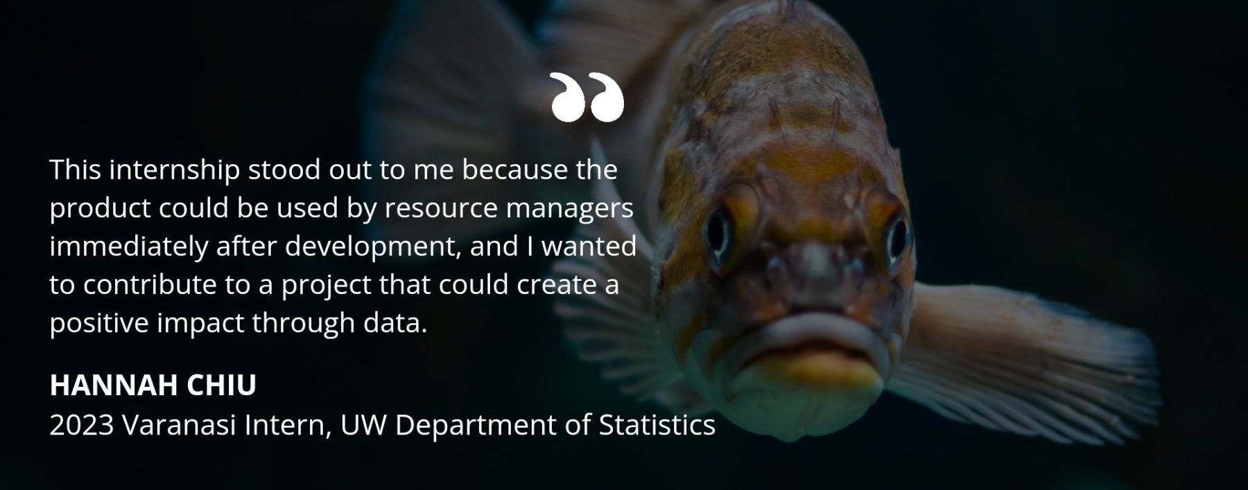 Varanasi Quantitative Undergraduate Summer Internship Program | School ...