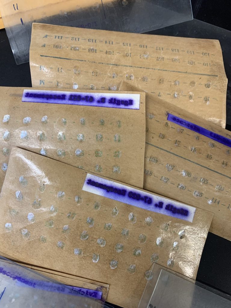 Salmon, scales, and spectrometry: analyzing historical fish scales to ...