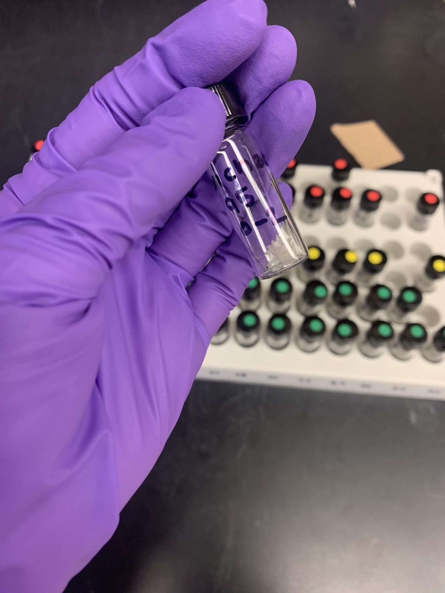 Salmon, scales, and spectrometry: analyzing historical fish scales to ...