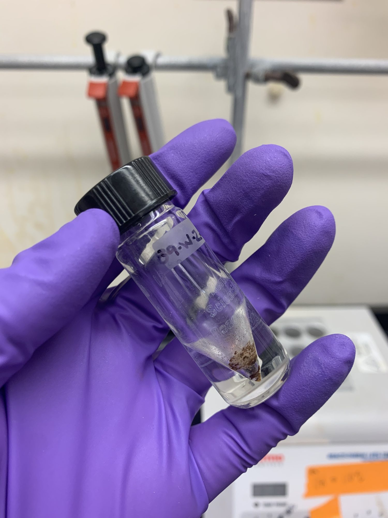 Salmon, scales, and spectrometry: analyzing historical fish scales to ...