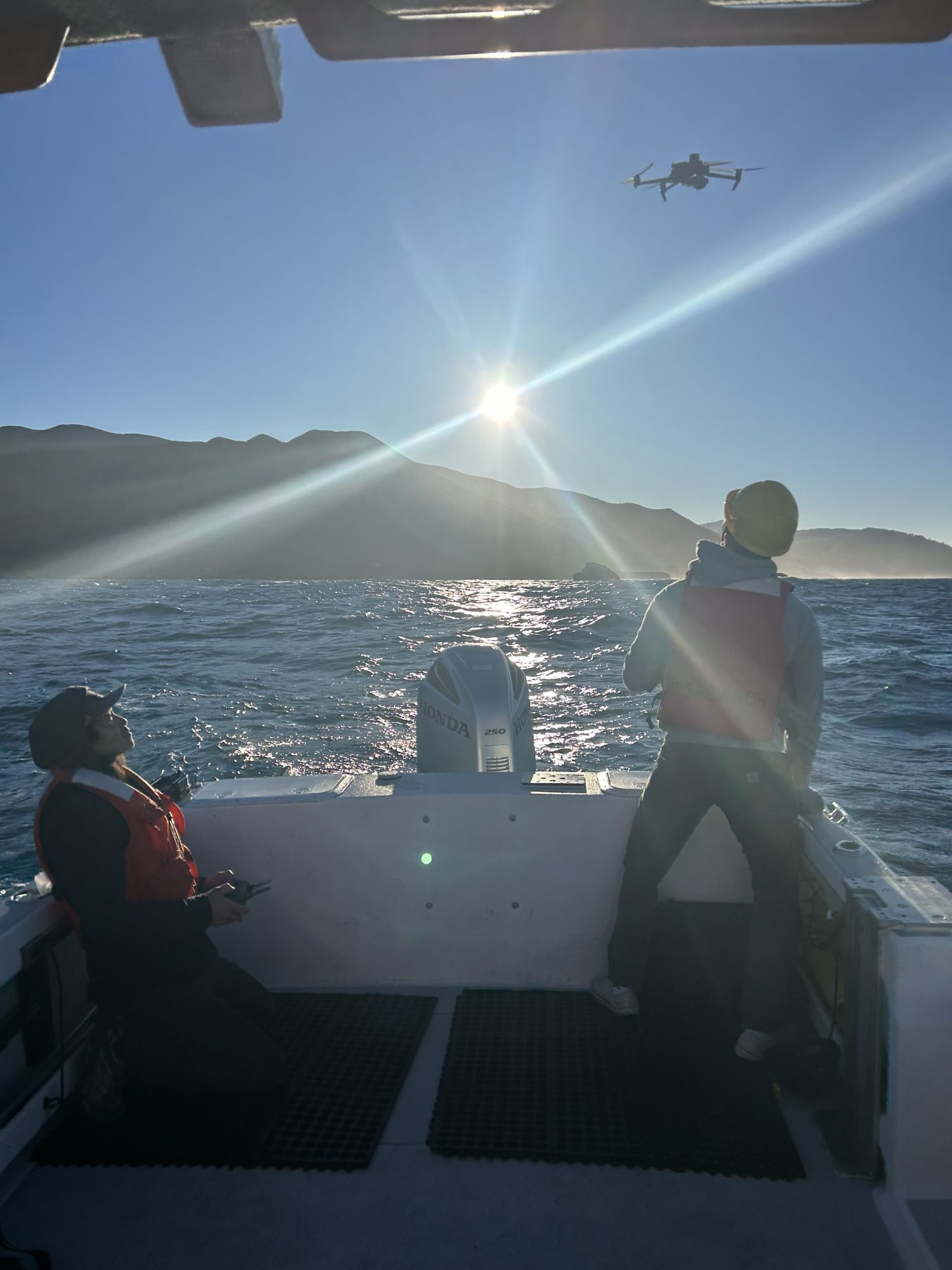 A view from above: using drones for coastal research in California