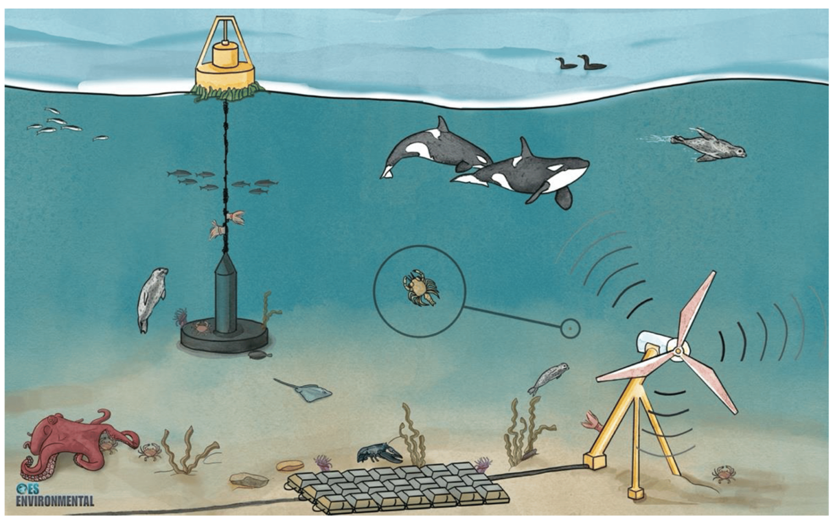 Will the tides change on tidal energy in the US? Quantifying fish ...