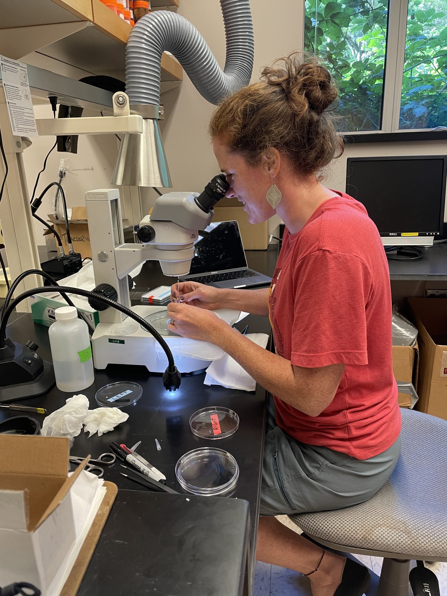 Taking a deeper look: using fish eye lenses to explore invasive fish ...