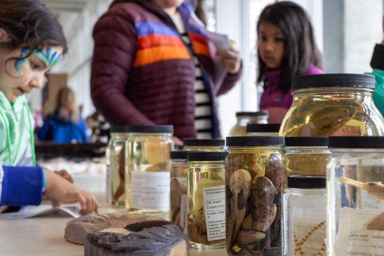 UW Aquatic Sciences Open House | School of Aquatic and Fishery Sciences