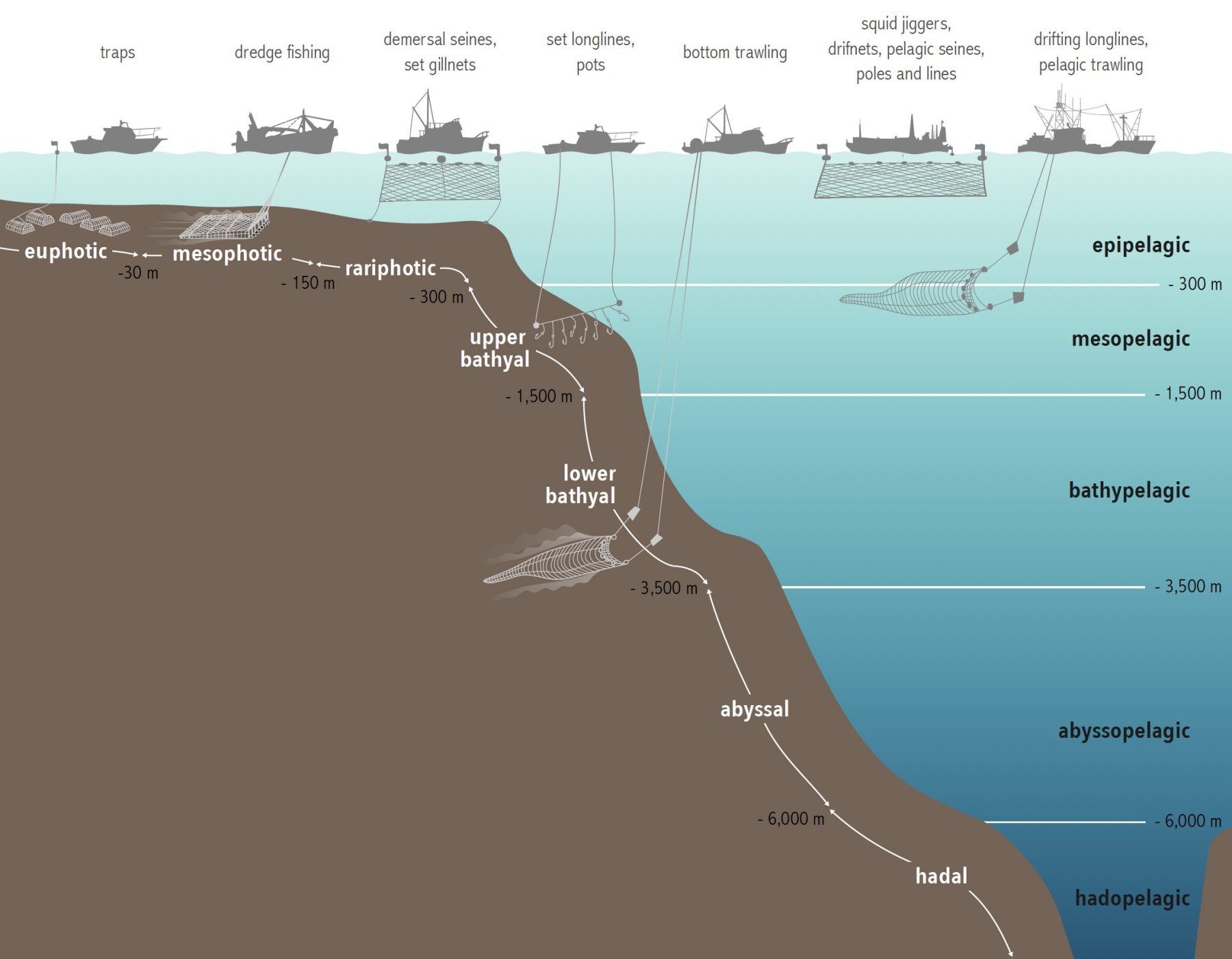 A 3D view of ocean conservation and fishing activities