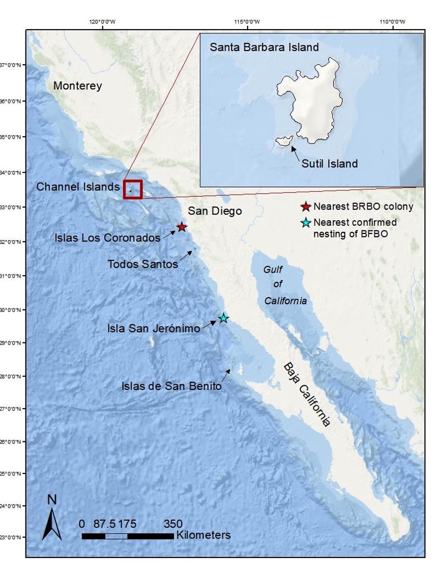 From tropics to temperate: The shifting breeding ranges of seabirds ...