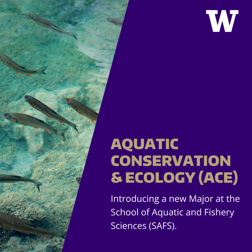 School of Aquatic and Fishery Sciences