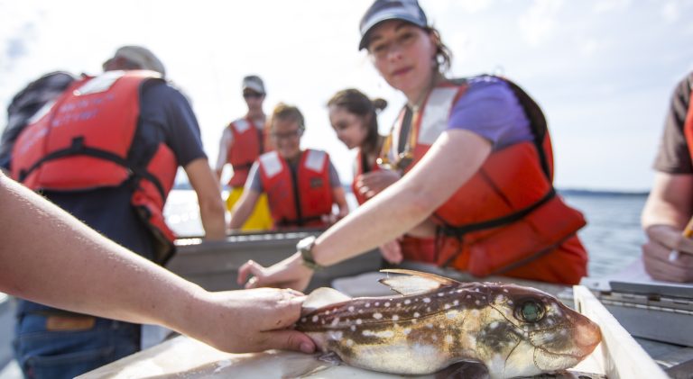 Aquatic Conservation and Ecology (ACE) Bachelor of Science | School of ...